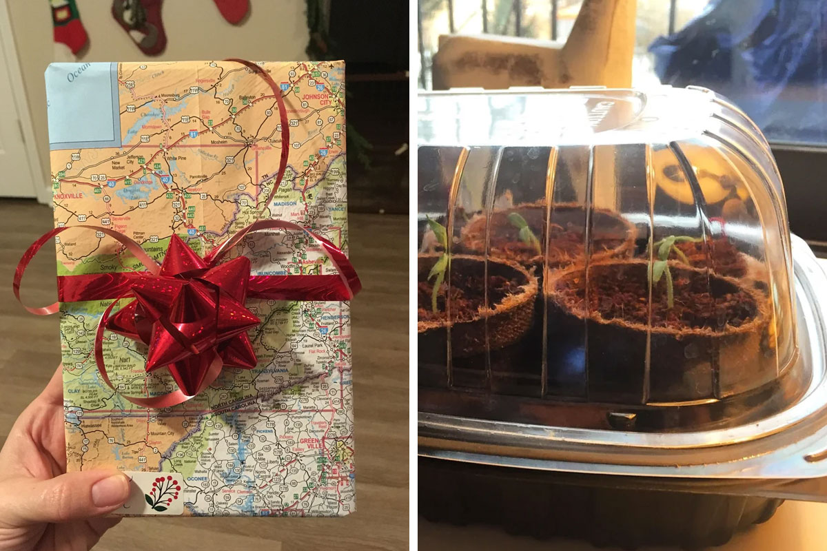 50 Times People Saw Such Creative Zero-Waste Ideas They Just Had To ...