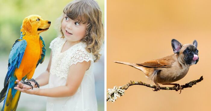 27 Funny Animal Mashups Created By This Artist With Photoshop (New Pics ...