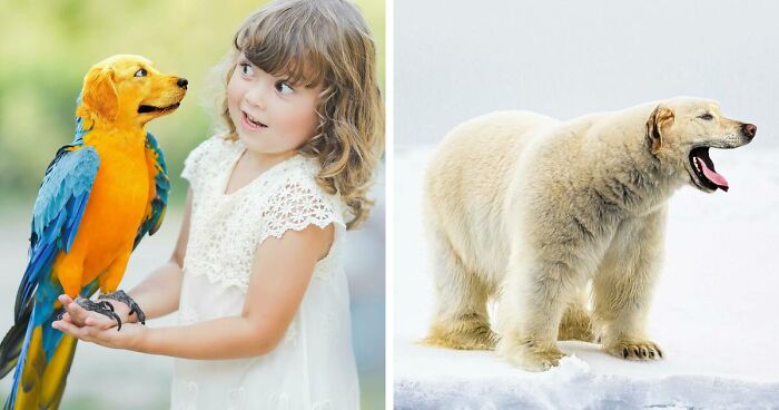 27 Funny Animal Mashups Created By This Artist With Photoshop (New Pics ...