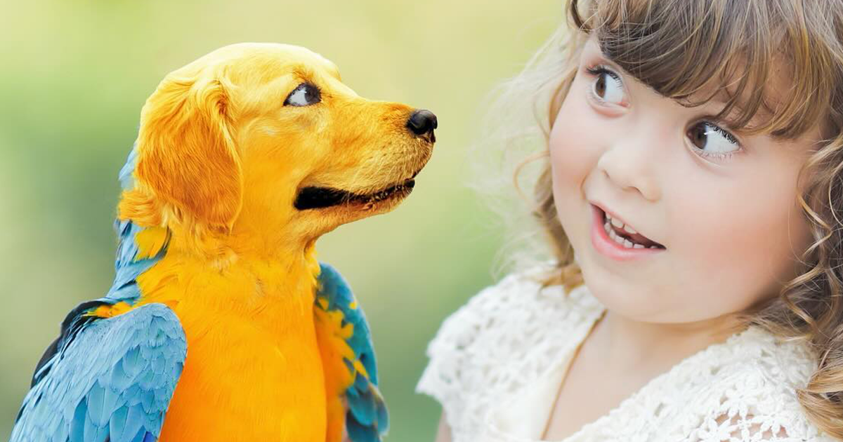 27 Funny Animal Mashups Created By This Artist With Photoshop (New Pics ...