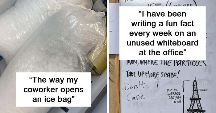 50 Pics Showing That Some People Have No Idea How To Behave At Work ...