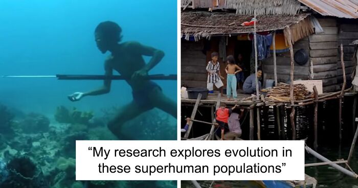 Bajau People Can Hold Their Breath For 13 Minutes Underwater Thanks To ...