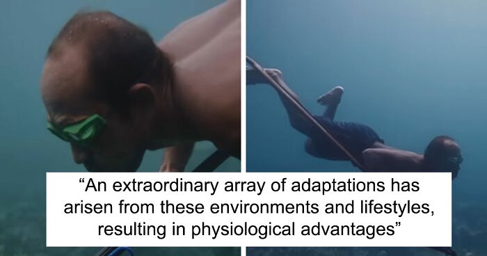 Bajau People Can Hold Their Breath For 13 Minutes Underwater Thanks To ...