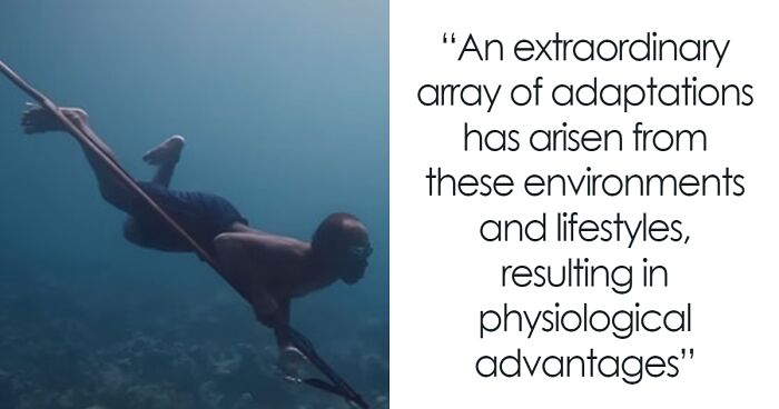 Bajau People Can Hold Their Breath For 13 Minutes Underwater Thanks To ...