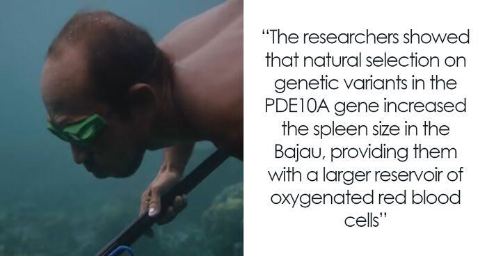 Bajau People Can Hold Their Breath For 13 Minutes Underwater Thanks To ...