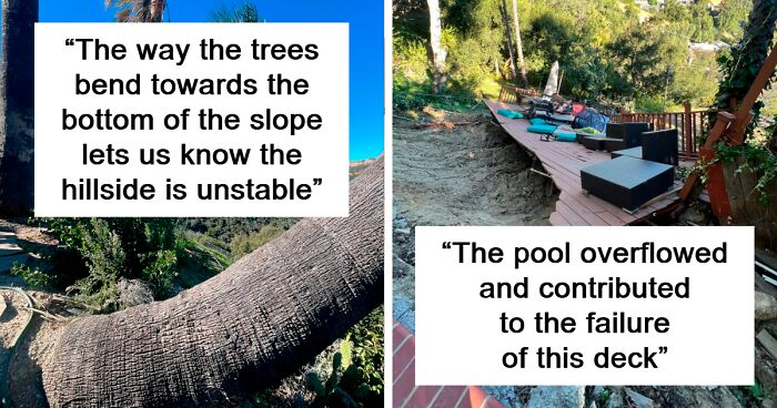 50 Horrifying Things Workers Saw During Structural Inspections (Best Of ...