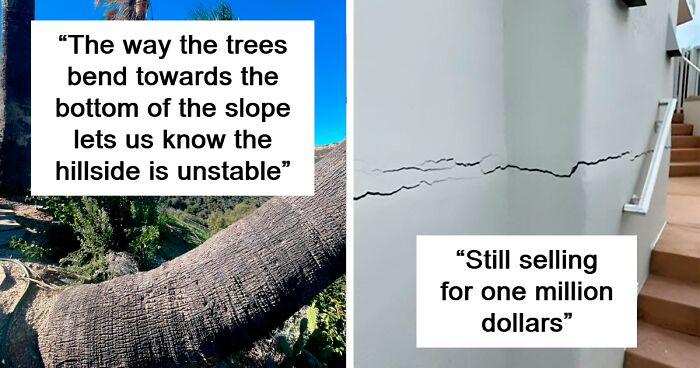 50 Horrifying Things Workers Saw During Structural Inspections (Best Of ...