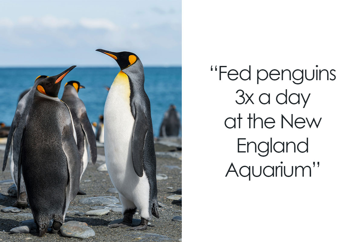 30 Folks Share The Easiest And Most Fun Jobs They Had | Bored Panda