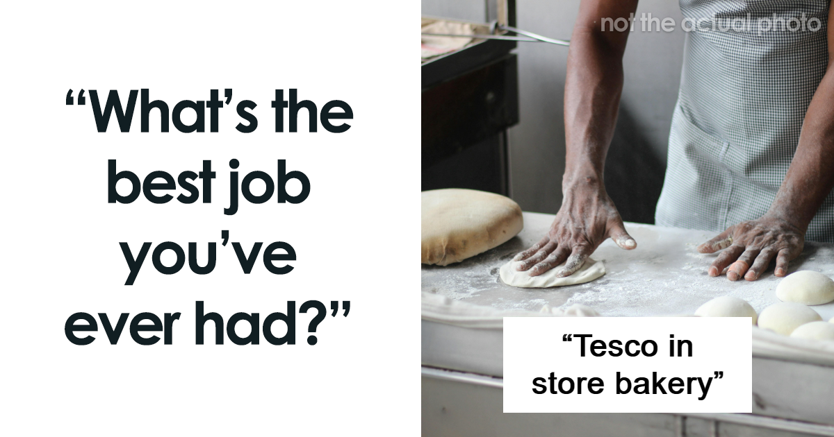 30 Folks Share The Easiest And Most Fun Jobs They Had | Bored Panda