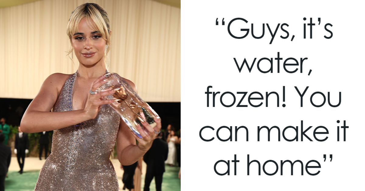 Camila Cabello Denies Met Gala Ice Purse Cost $25k Amid Cancellation ...