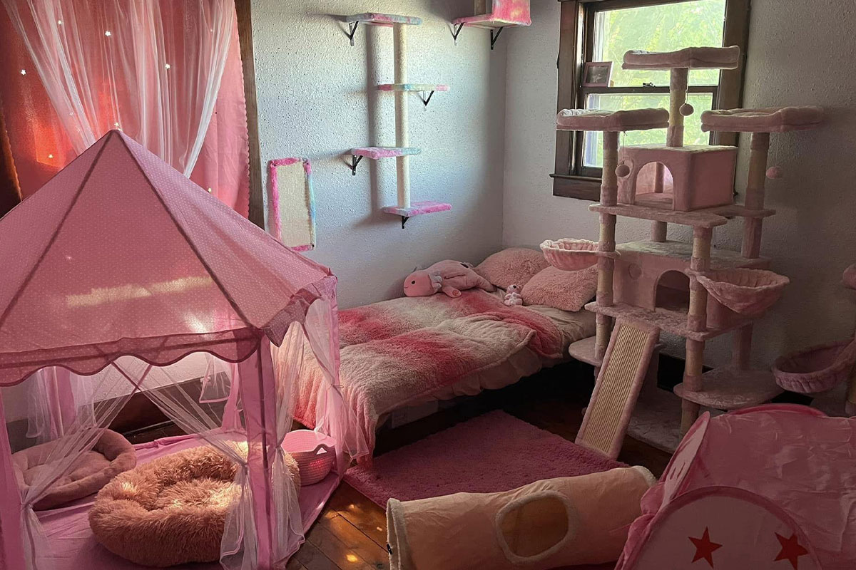 30 Times Creative People Came Up With Cool DIY Ideas To ‘Catify’ Their ...