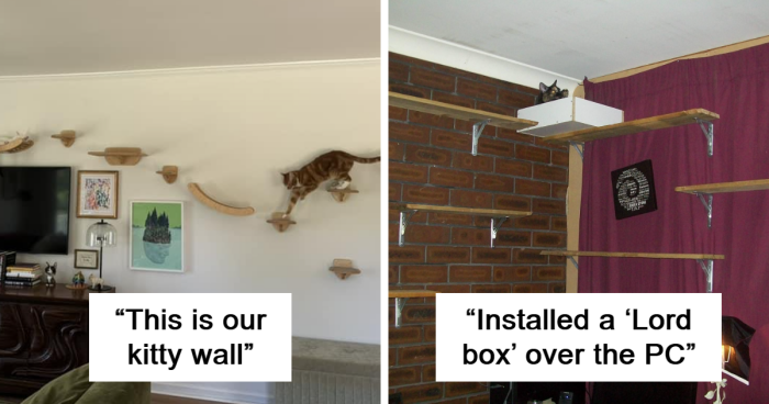 30 Times Creative People Came Up With Cool DIY Ideas To ‘Catify’ Their ...