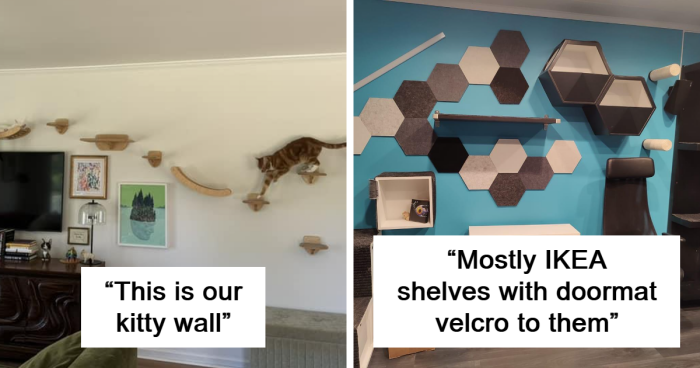 30 Times Creative People Came Up With Cool DIY Ideas To ‘Catify’ Their ...