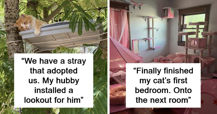 30 Times Creative People Came Up With Cool DIY Ideas To ‘Catify’ Their ...