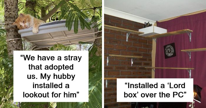 30 Times Creative People Came Up With Cool DIY Ideas To ‘Catify’ Their ...