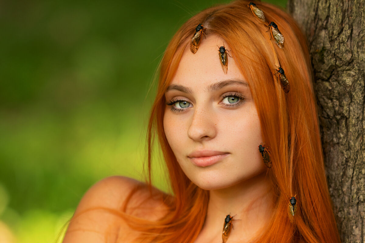 I Did A Creative Photoshoot With Cicadas Before They Are Gone (7 Pics ...