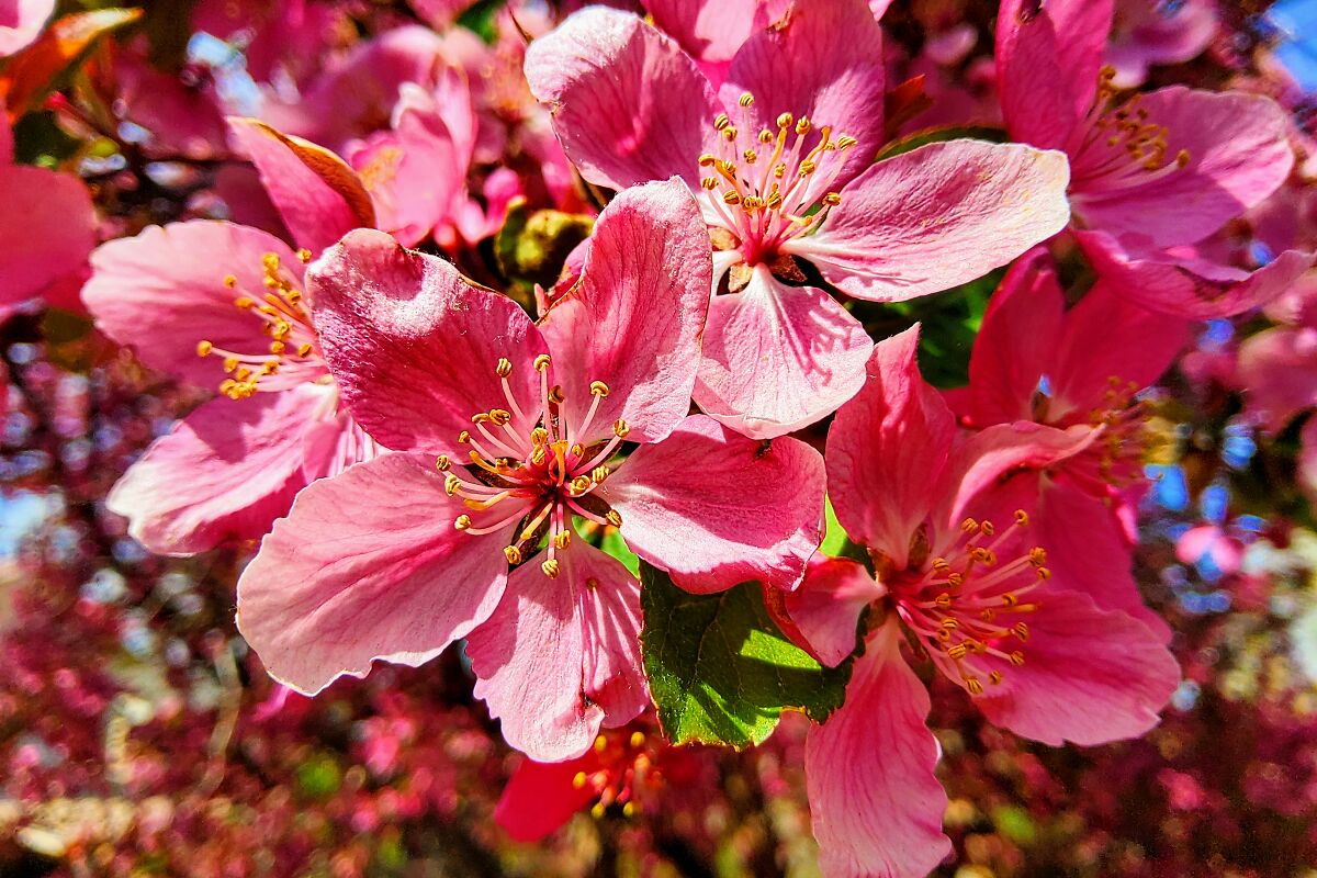 Hey Pandas, What’s The Most Stunning Photo You’ve Ever Taken? (Closed) | Bored Panda