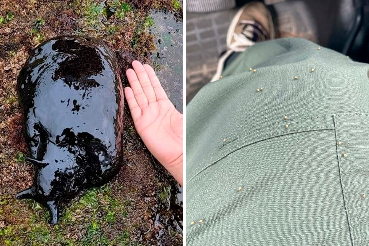 50 Of The Most Horrific Things Mother Nature Produced That People ...