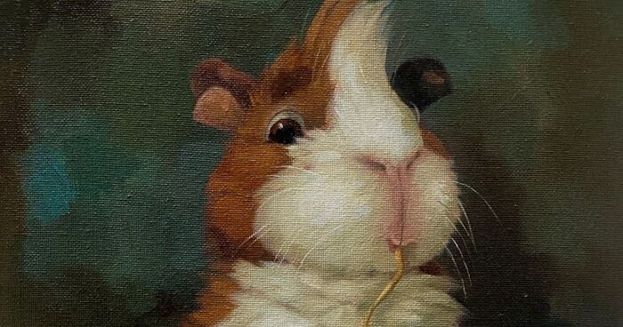 30 Cute And Funny Animal Drawings By The Artist Alison Friend To Melt ...