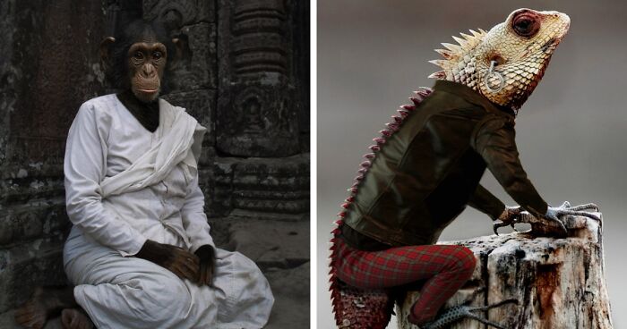 Designers Were Challenged To Dress-Up Animals In Human Clothing, Here ...