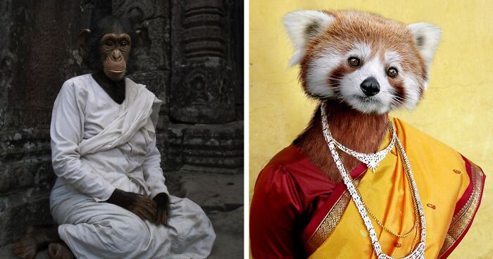 Designers Were Challenged To Dress-Up Animals In Human Clothing, Here ...
