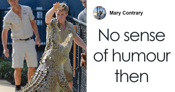 Robert Irwin Claims Cartoon Depicting Him Is “Defamation,” Threatens To ...