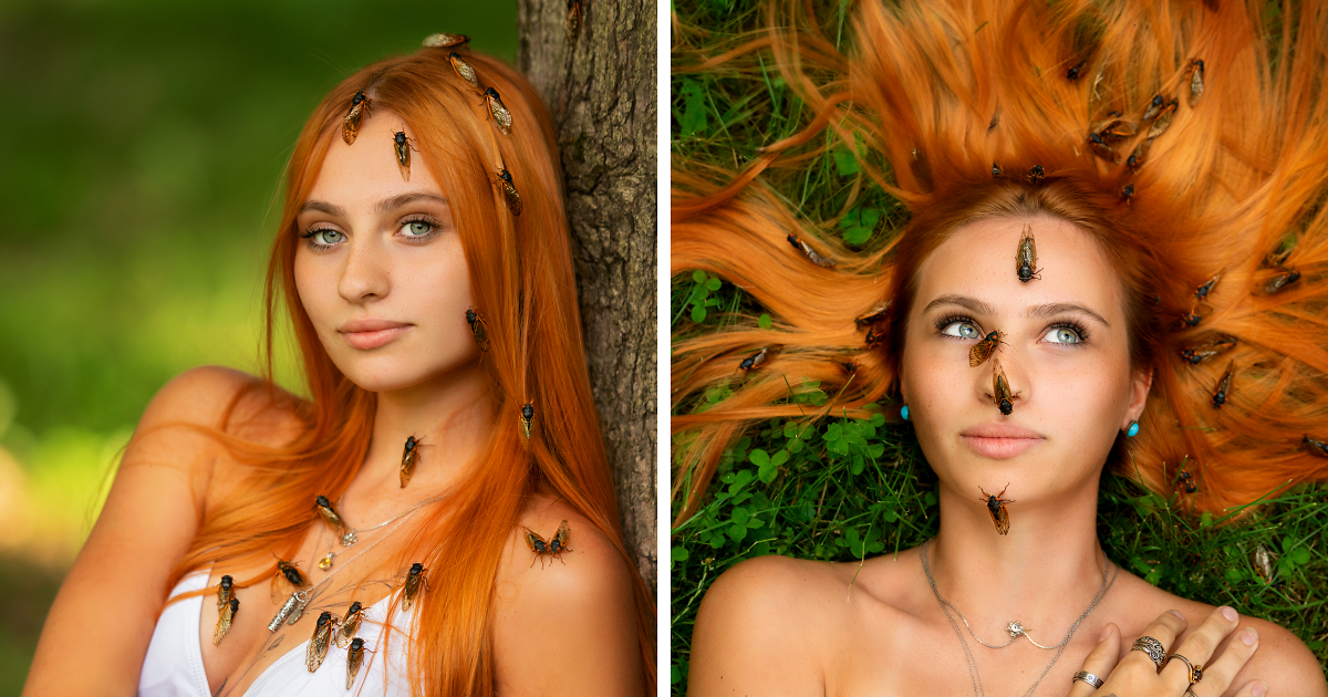 I Did A Creative Photoshoot With Cicadas Before They Are Gone (7 Pics ...