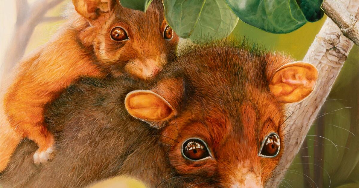 I Am Releasing Limited Edition Prints Of My Original Oil Painting ...