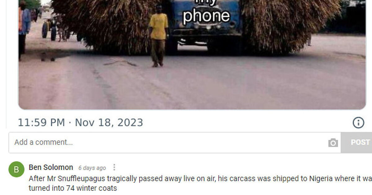 Funny Made-Up Facts: 19 Credible-Looking Comments I Left Under Various ...