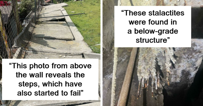 30 Times Building Inspectors Uncovered Horrifying Things While On The ...