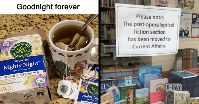 45 Funny And Nonsensical Memes To Laugh At Or Relate To, Shared By This ...
