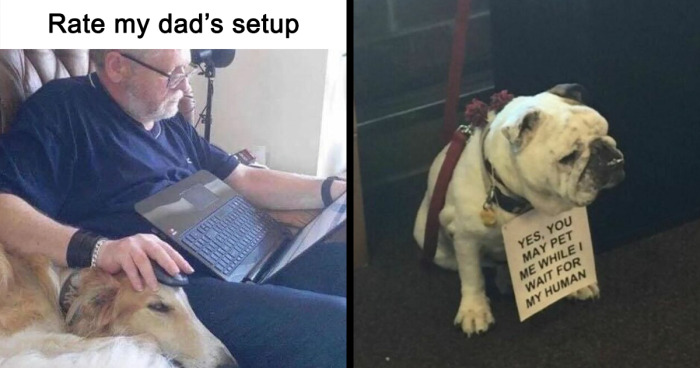 45 Funny And Nonsensical Memes To Laugh At Or Relate To, Shared By This ...