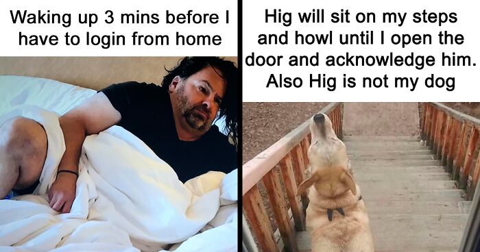 50 Hilariously Random Memes About Everything And Anything | Bored Panda