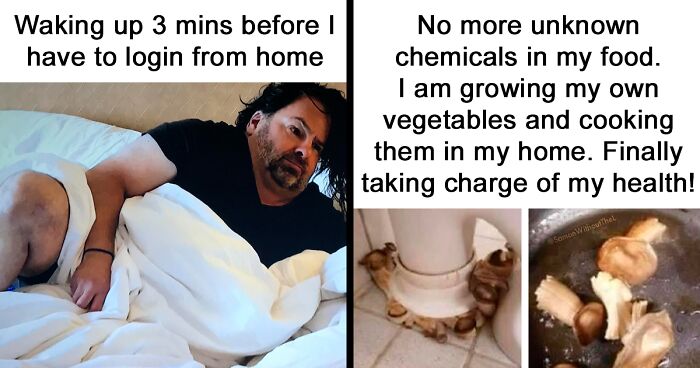 50 Hilariously Random Memes About Everything And Anything | Bored Panda