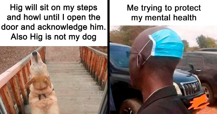 50 Hilariously Random Memes About Everything And Anything | Bored Panda