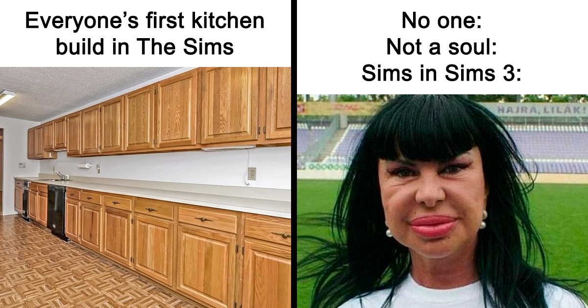 Sims 3 Meme