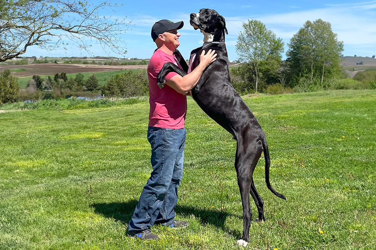 Meet Kevin, The World’s Tallest Living Dog From West Des Moines, Iowa ...