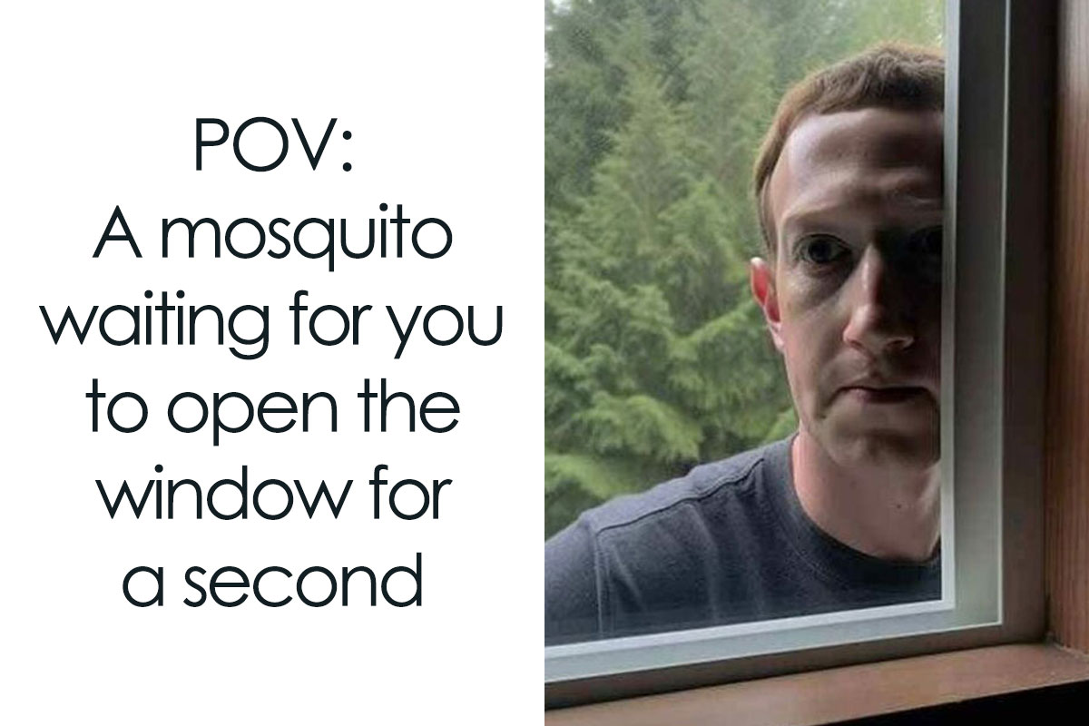 50 Hilarious Memes To Brighten Up Your Day | Bored Panda