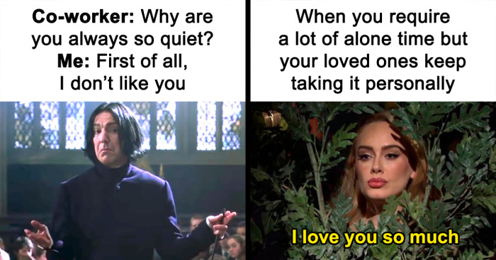 50 Memes To Send To Those Who Don’t Really Like Other People | Bored Panda