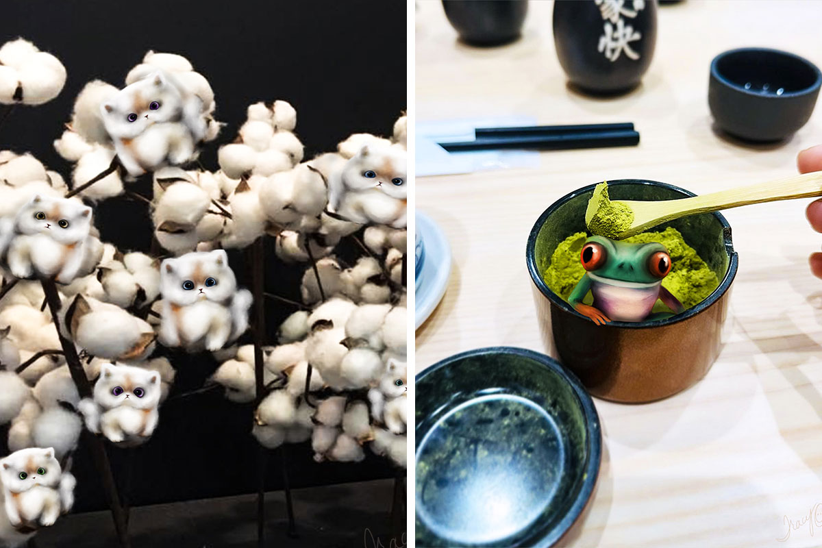 I Make Cute Art By Adding Drawn Animals To Random Photos (39 Pics ...