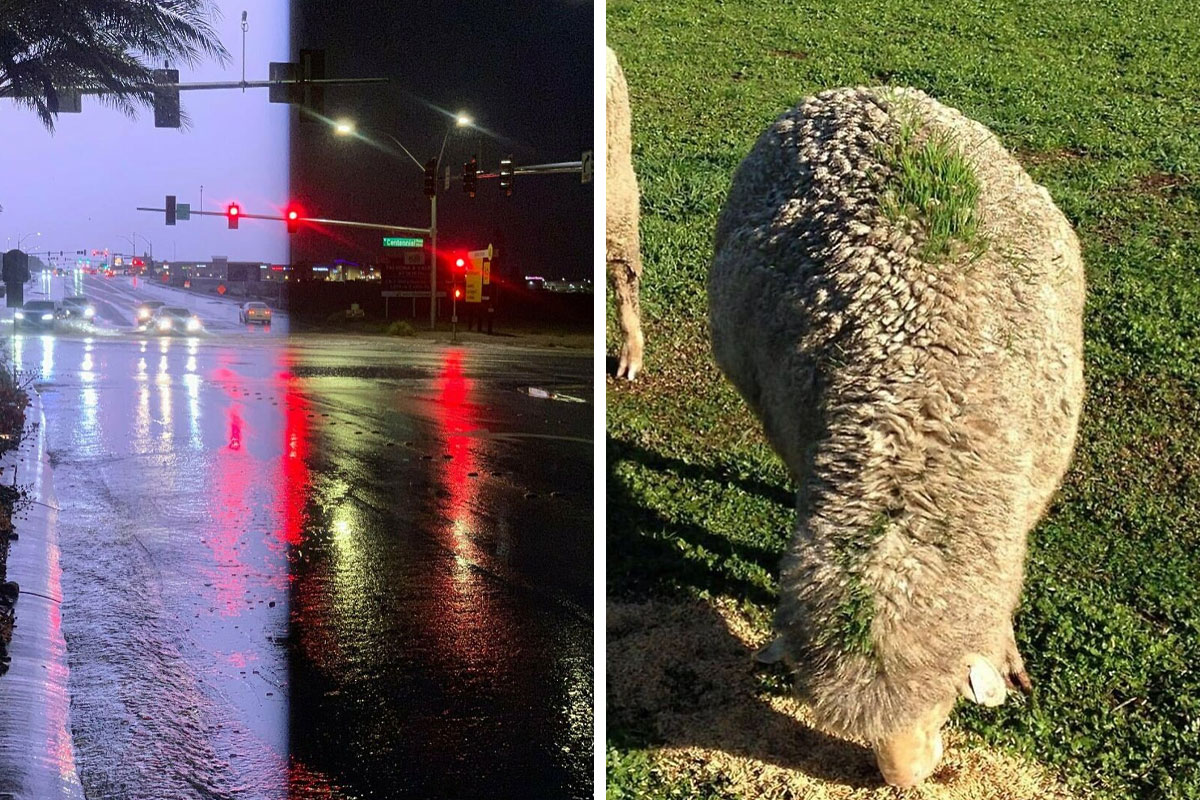 50 Photos To Slightly Amuse and Intrigue You, As Shared On This Instagram Page | Bored Panda