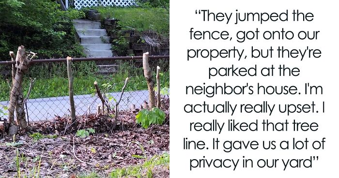 Woman Looks On In Shock As Landscapers Sent By Neighbors Enter Her Yard ...