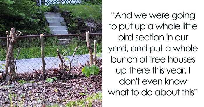 Woman Looks On In Shock As Landscapers Sent By Neighbors Enter Her Yard ...