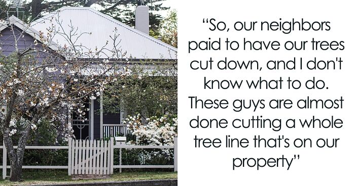 Woman Looks On In Shock As Landscapers Sent By Neighbors Enter Her Yard ...