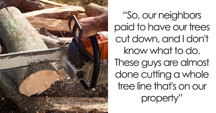 Woman Looks On In Shock As Landscapers Sent By Neighbors Enter Her Yard ...