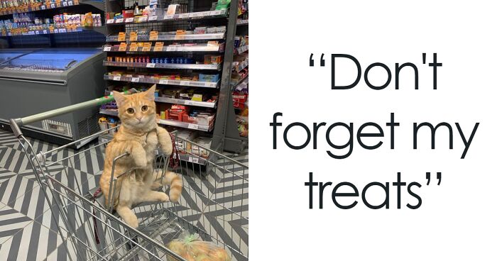 50 New Pics From The “Out Of Context” X Page To Brighten Up Your Day ...