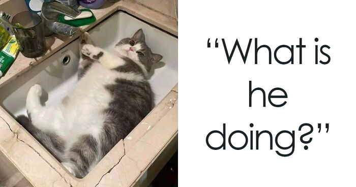 50 New Pics From The “Out Of Context” X Page To Brighten Up Your Day ...