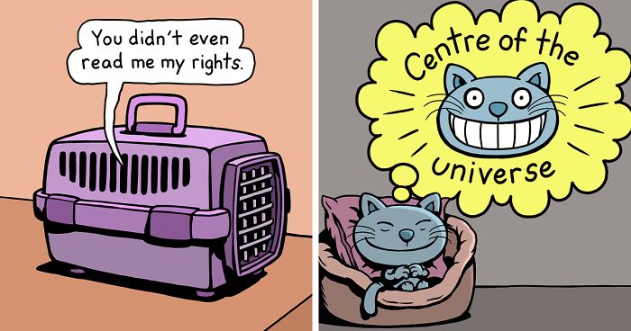 “Cattitude”: Artist Purrfectly Illustrates What Having A Cat Is Like ...