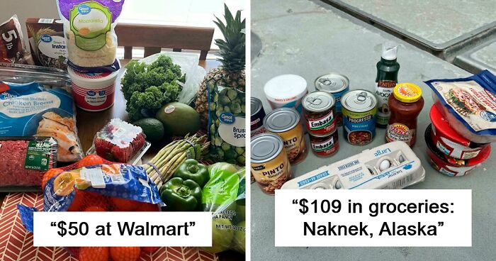 50 People Show How Much Groceries Cost Where They Live (New Pics ...