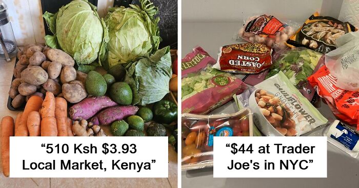 50 People Show How Much Groceries Cost Where They Live (New Pics ...